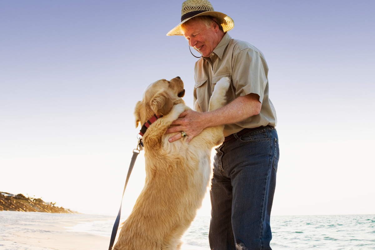 Why Subscription – Aralis Animals