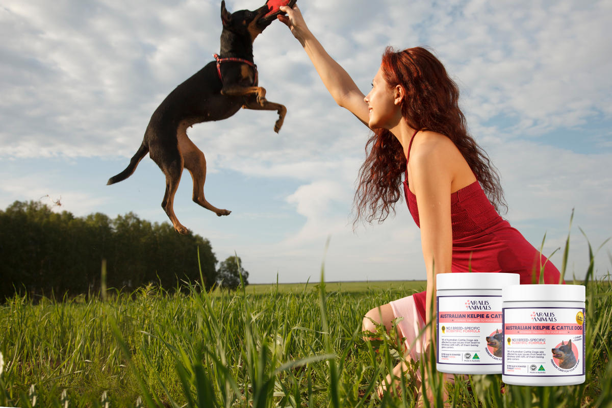Buy Breed Specific Vitamins for Dogs Supplements Australia | – Aralis ...