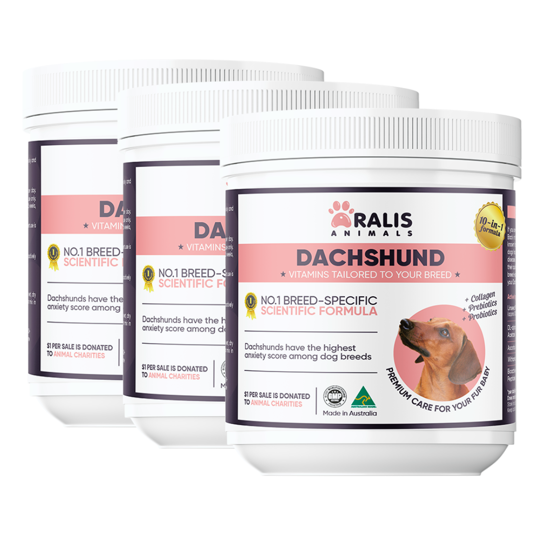 Dachshund - Pack of 3 – Aralis Animals